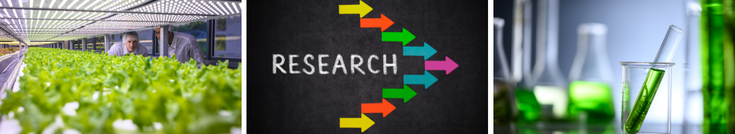 University of Sheffield showcases Notable performance in Research ...